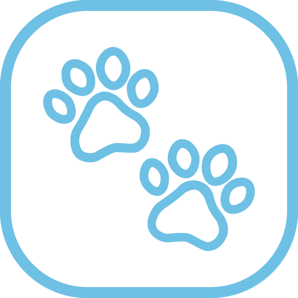 Assisted Home Nursing - Gauteng